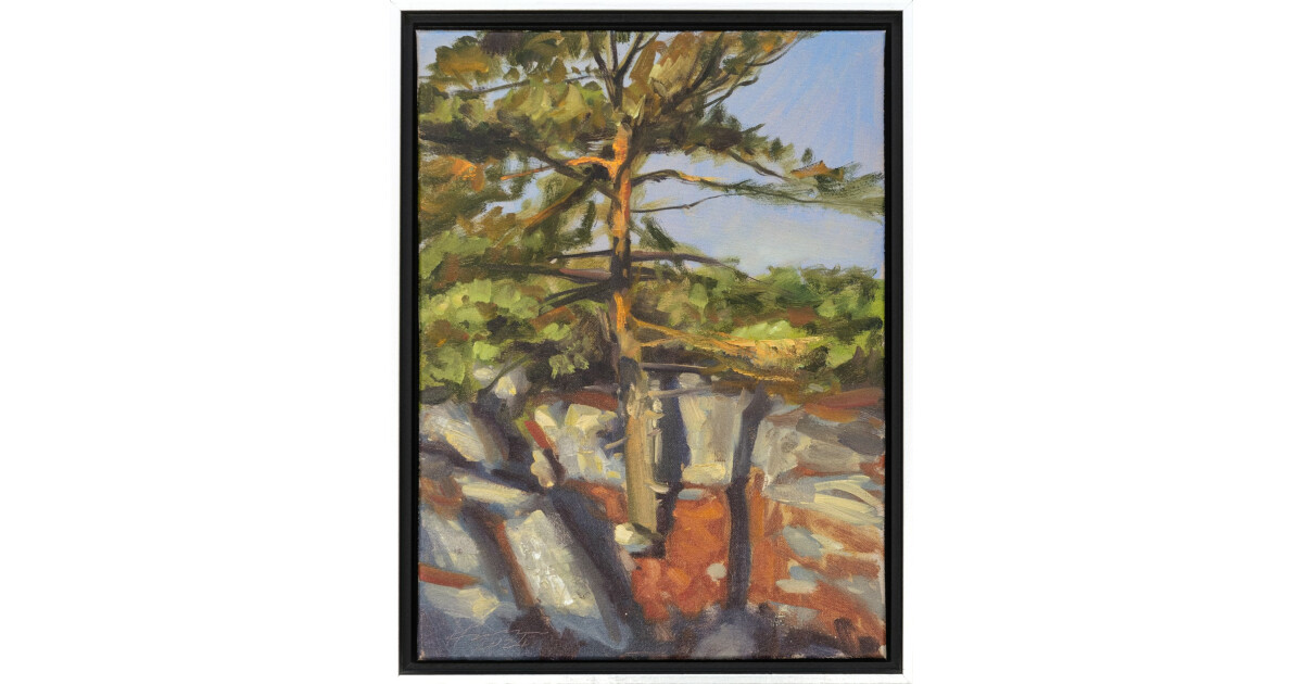 Rooted in Stone 2 » Oeno Gallery