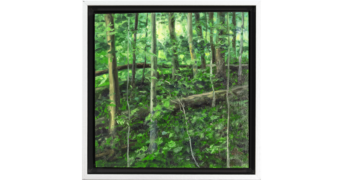 Forest Interior 1 » Oeno Gallery