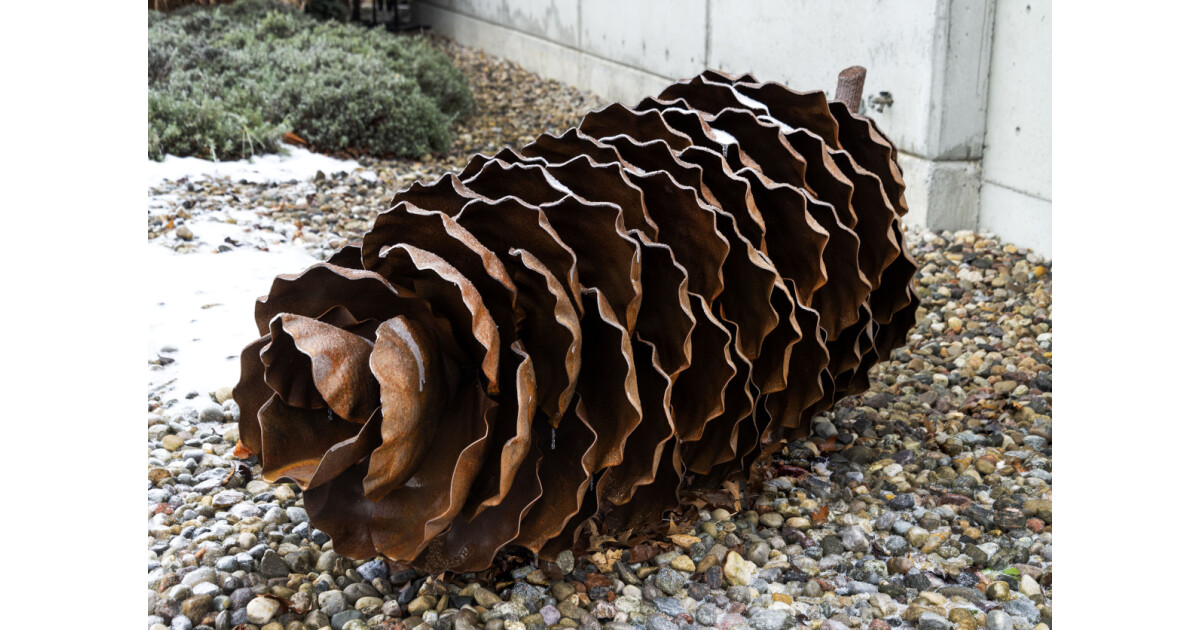 Spruce Cone 23-635 » Oeno Gallery
