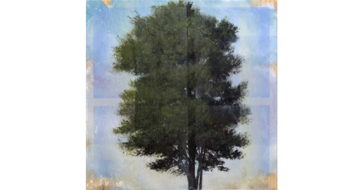 Tree Through Window Pane » Oeno Gallery