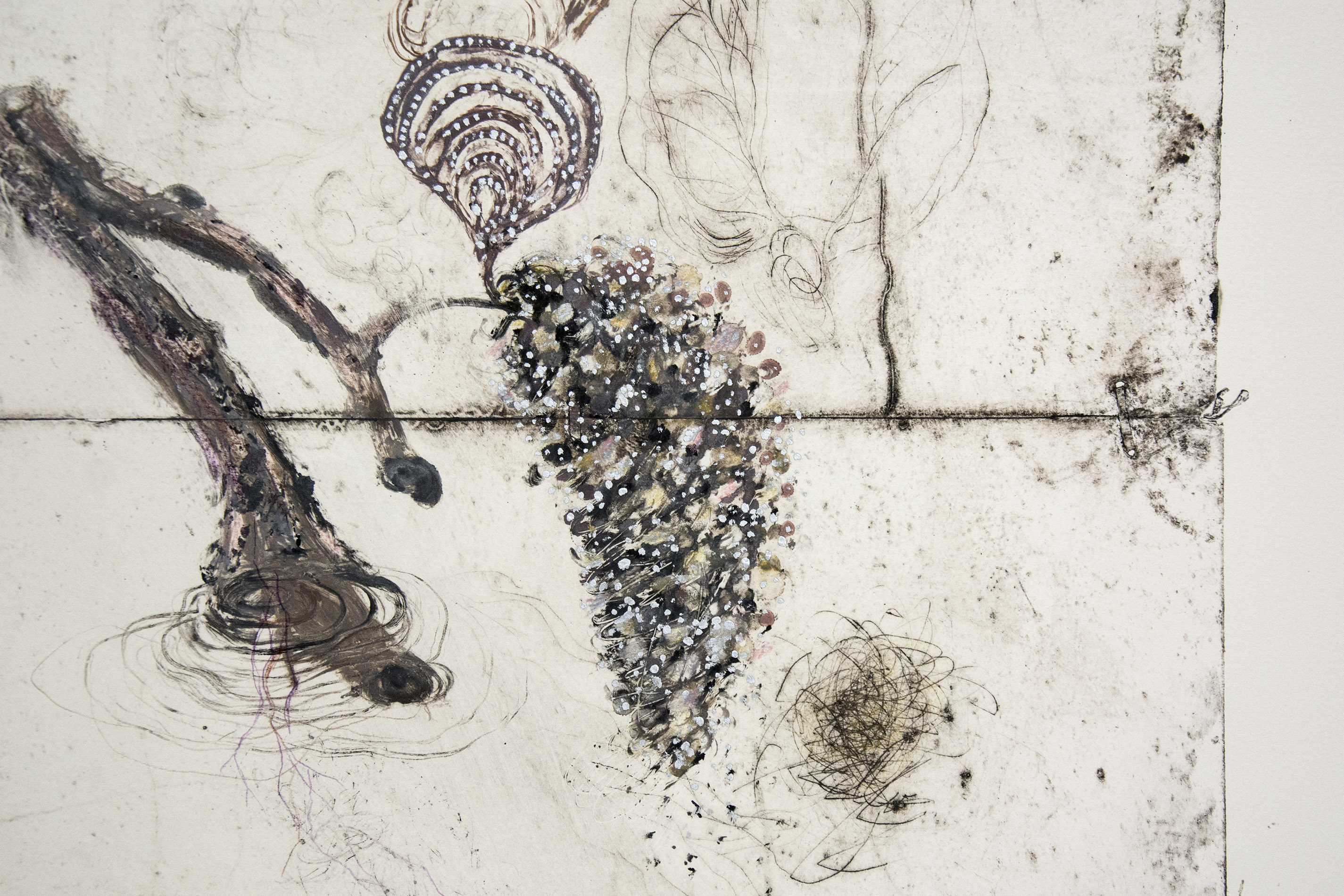 Lineage Arbour » Oeno Gallery