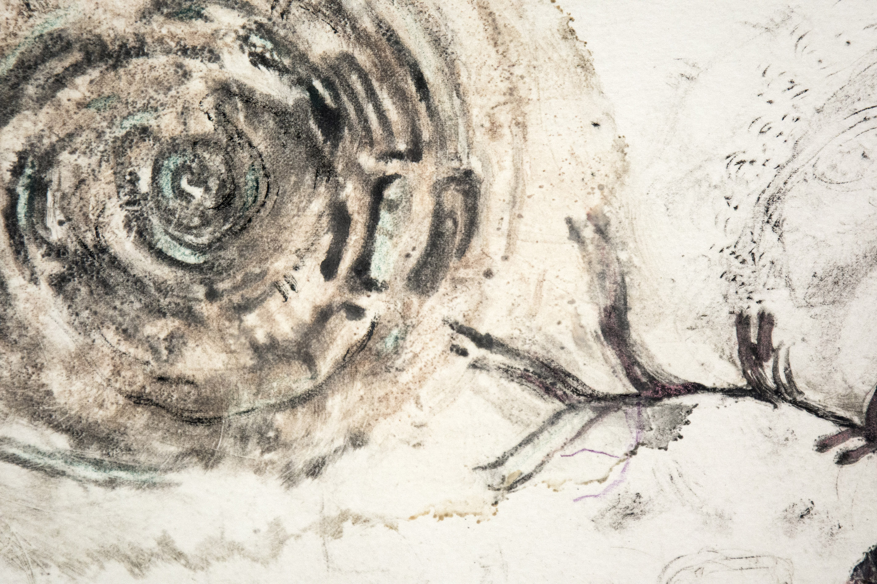 Lineage Arbour » Oeno Gallery