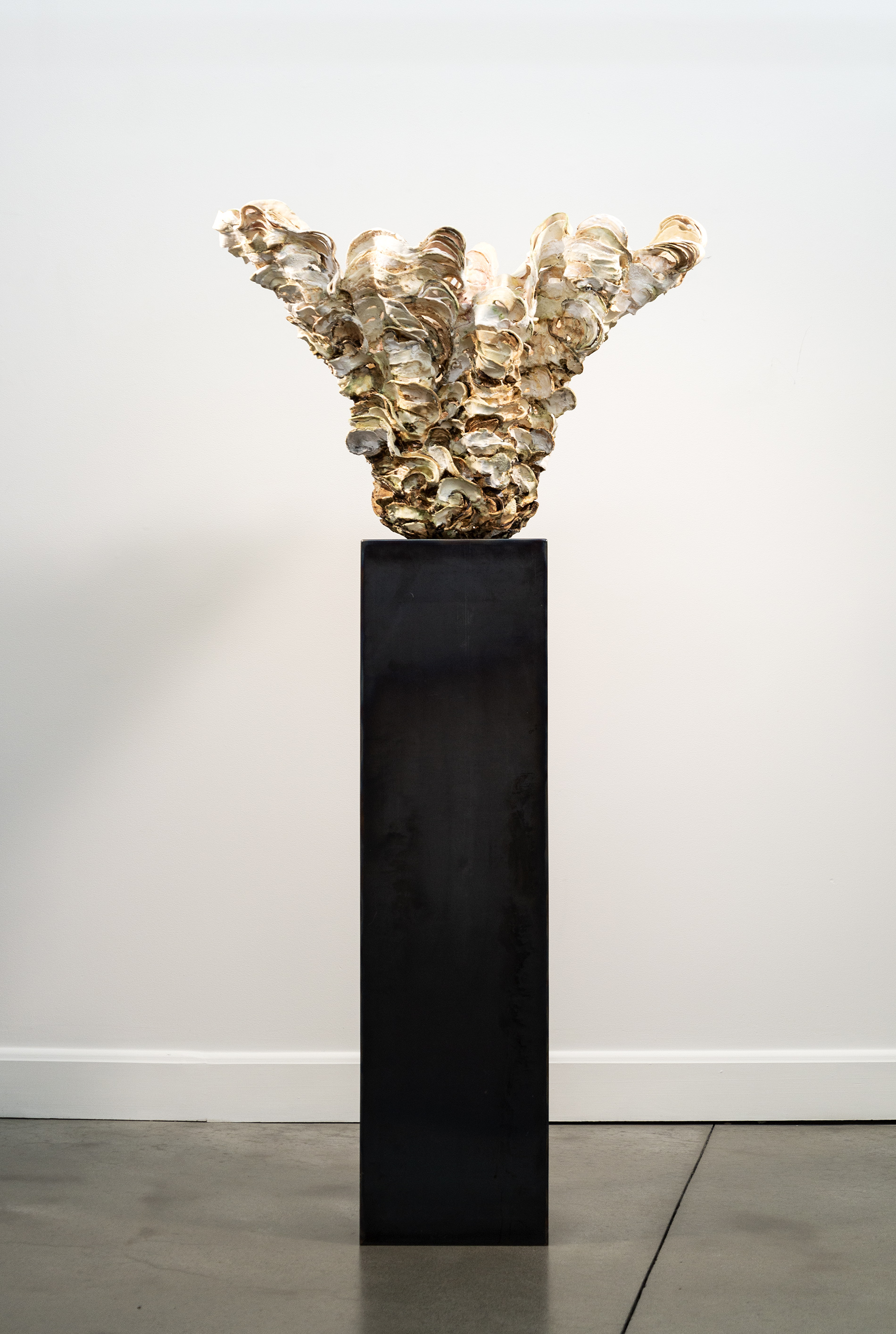 Laurel II » Oeno Gallery