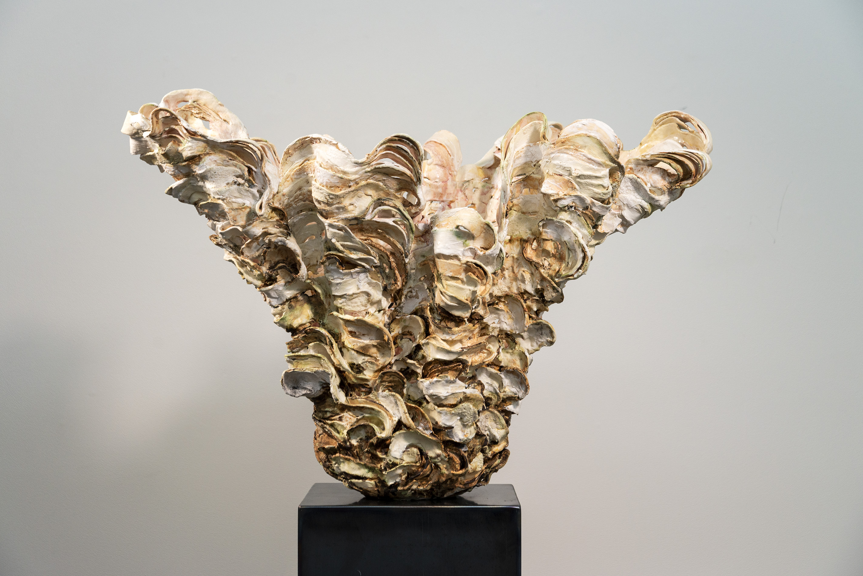 Laurel II » Oeno Gallery