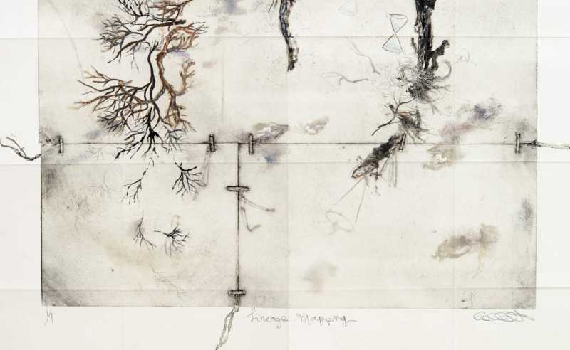 Lineage Mapping » Oeno Gallery
